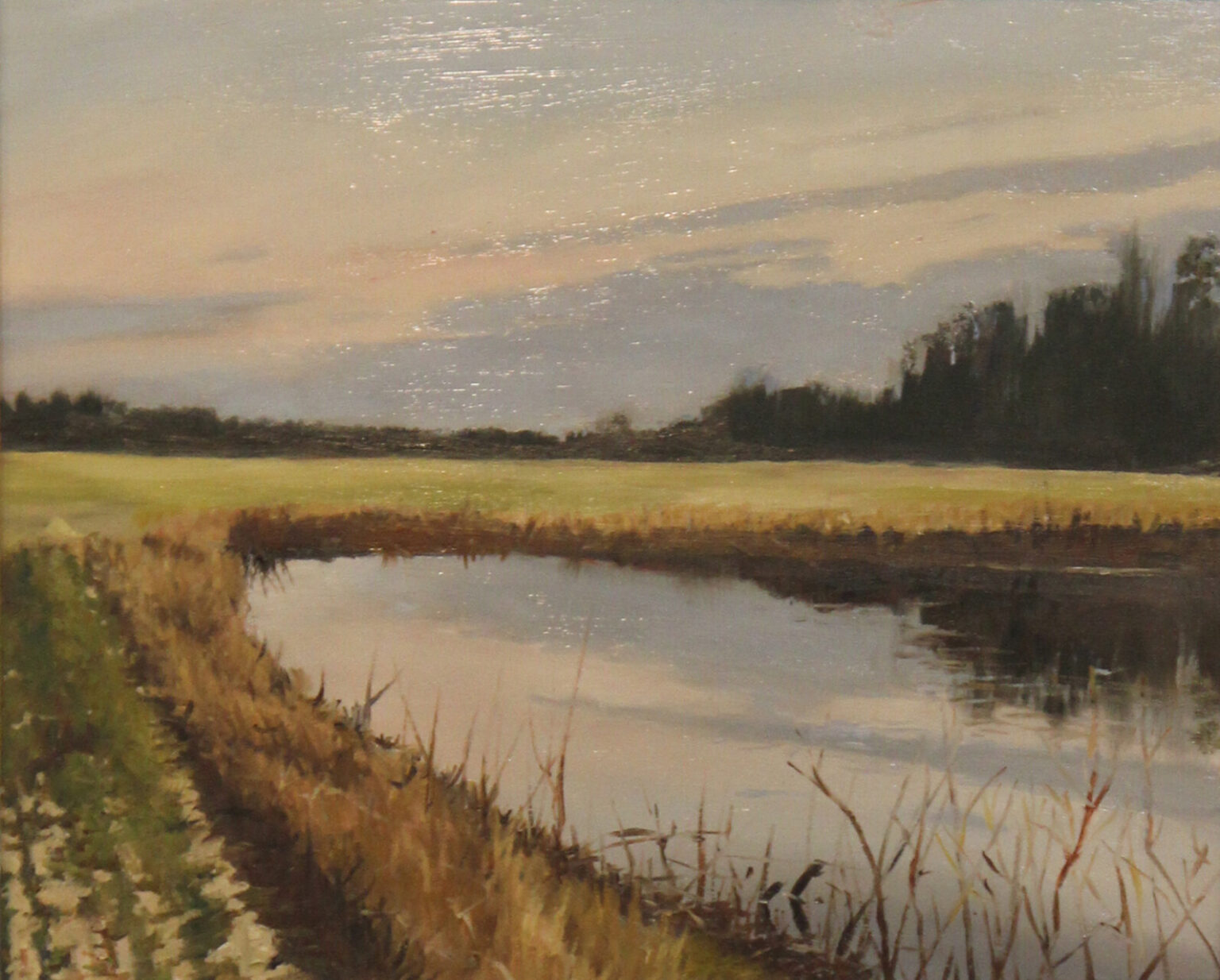 Shop – FRANK Gallery